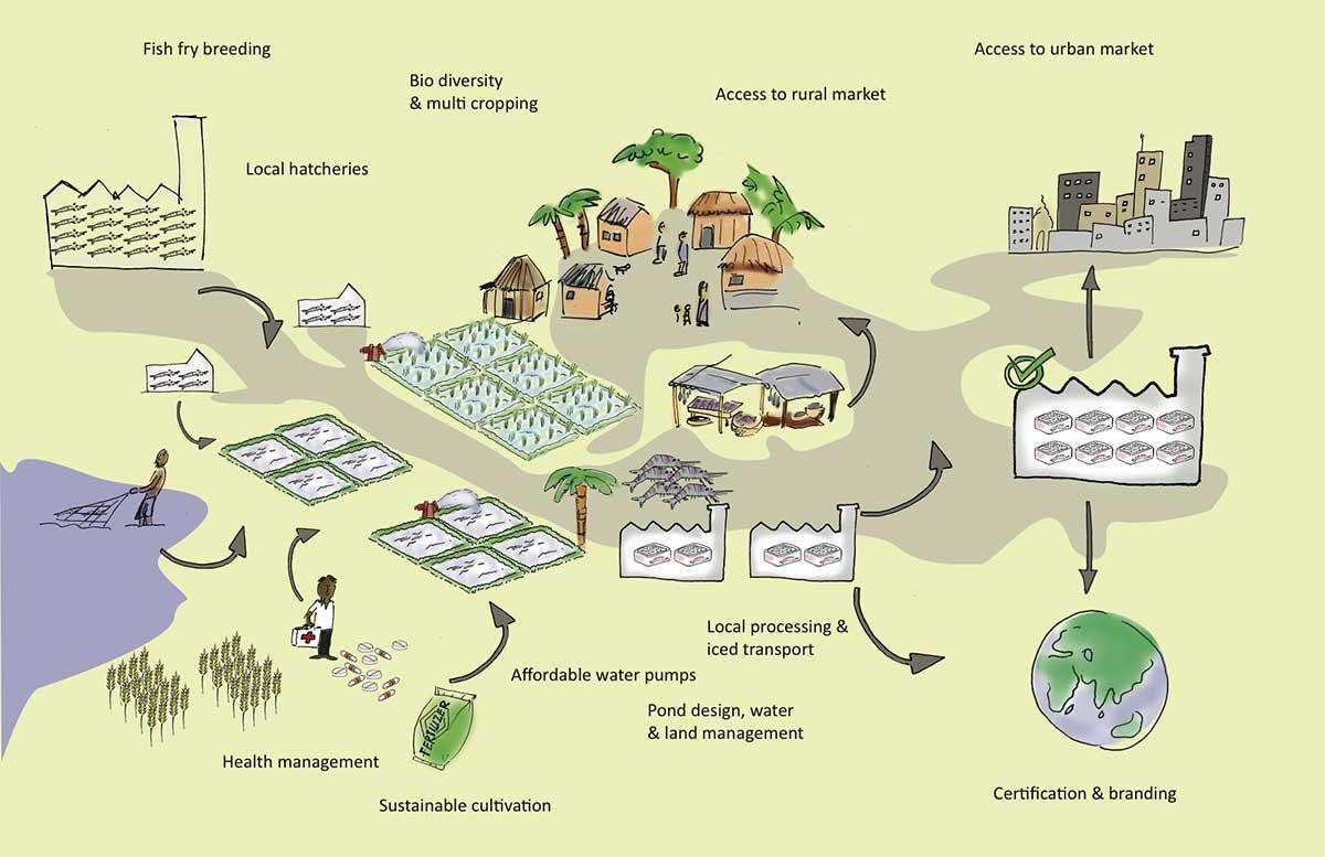 Market Development (aka Value Chain Development): Myth and Reality | CPD